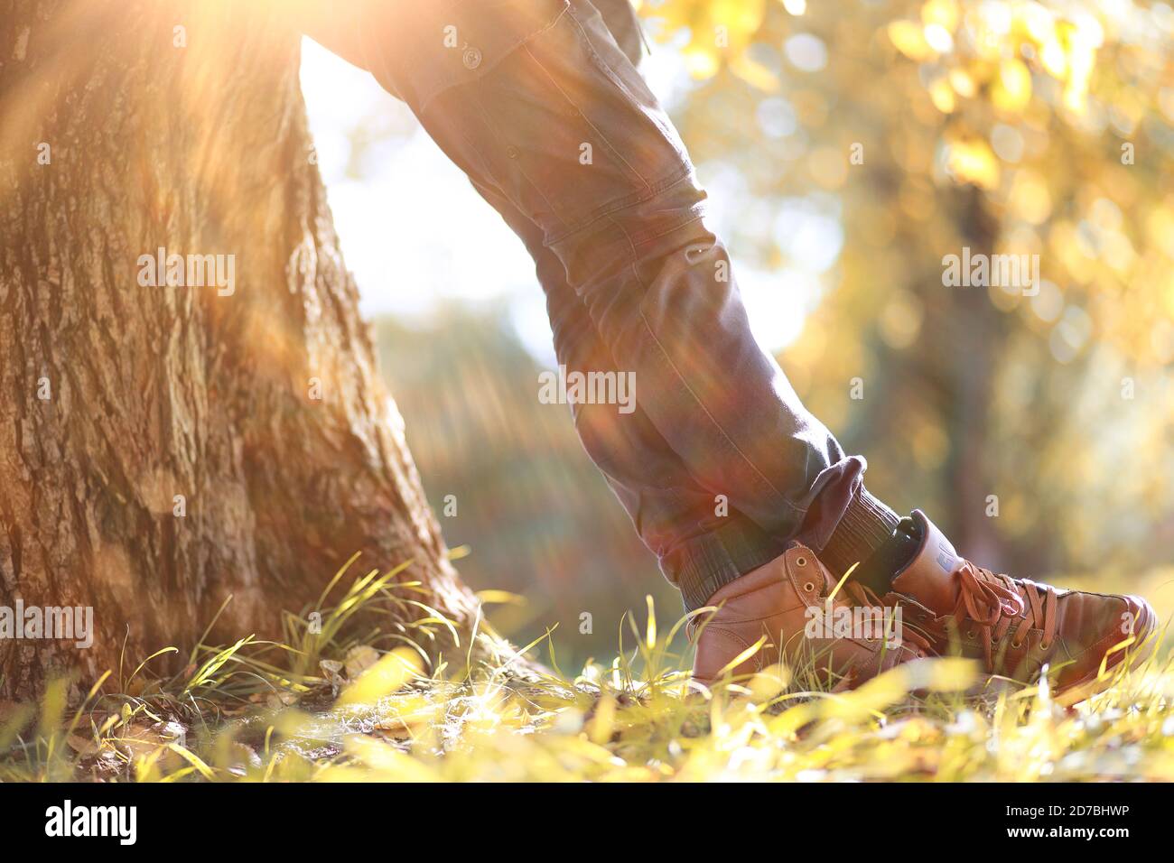 Autumn Park man walking along a path foliage Stock Photo - Alamy
