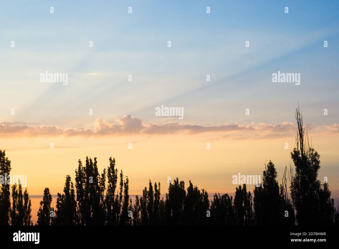 Landscape with dramatic light - beautiful golden sunset with saturated ...