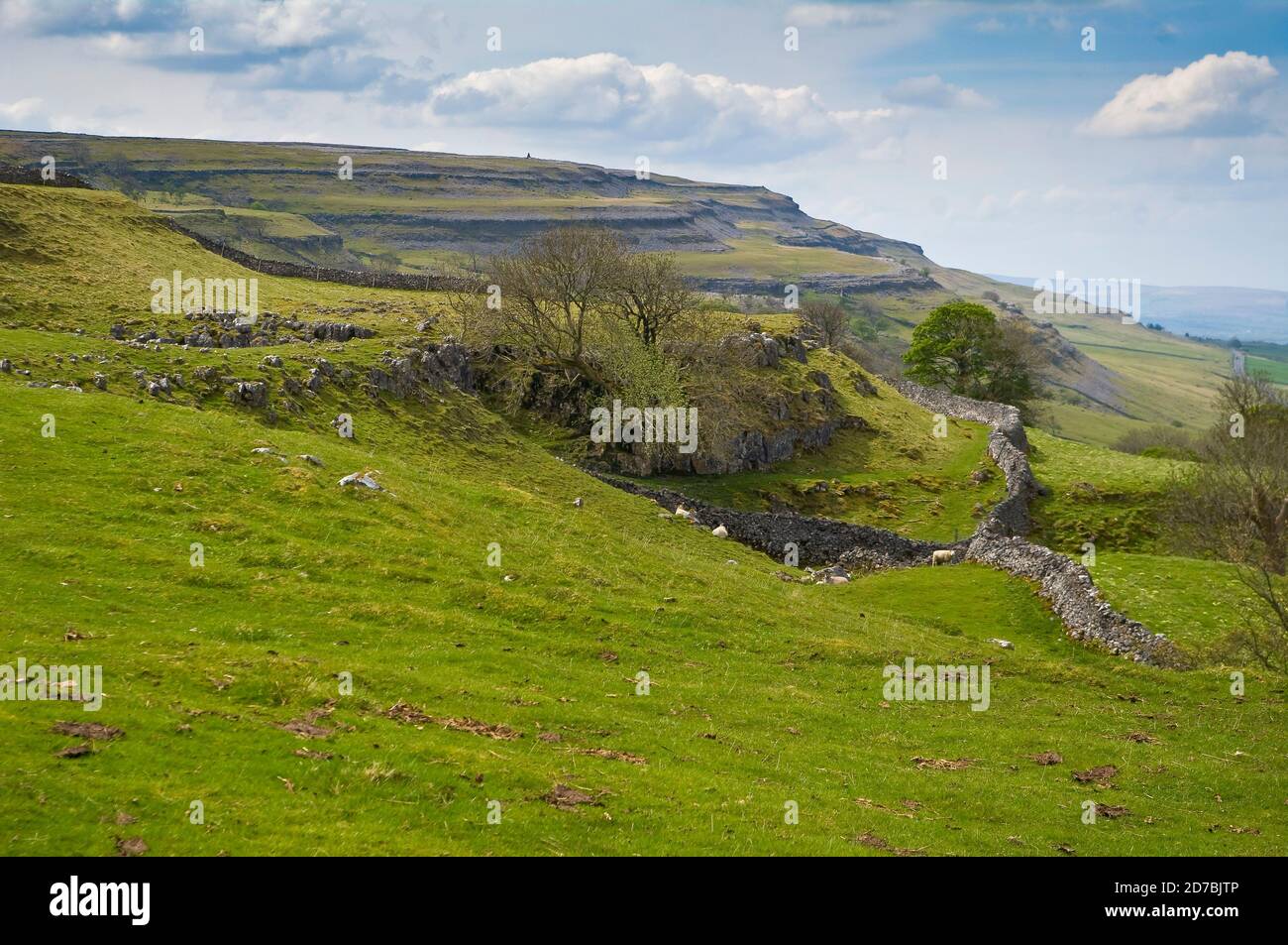 Stepped terraces of karst limestone pavement with clints and grykes at ...