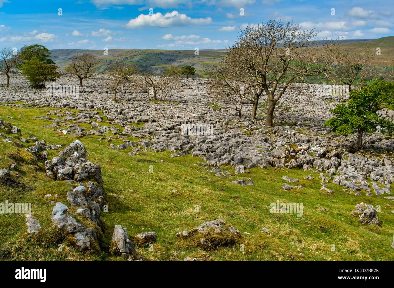 Karst limestone pavement with clints and grykes at Kingsdale, near ...