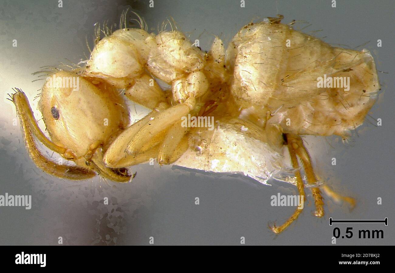 Palmer's Canyon, San Gabriel Mountains, near Claremont, Los Angeles ...