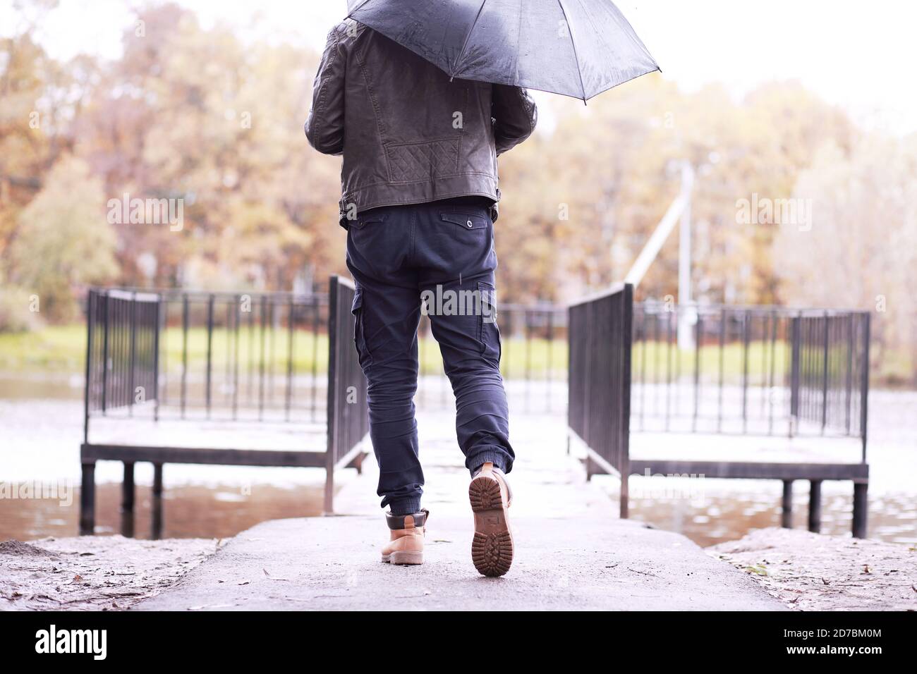 Autumn rainy park in October Stock Photo - Alamy