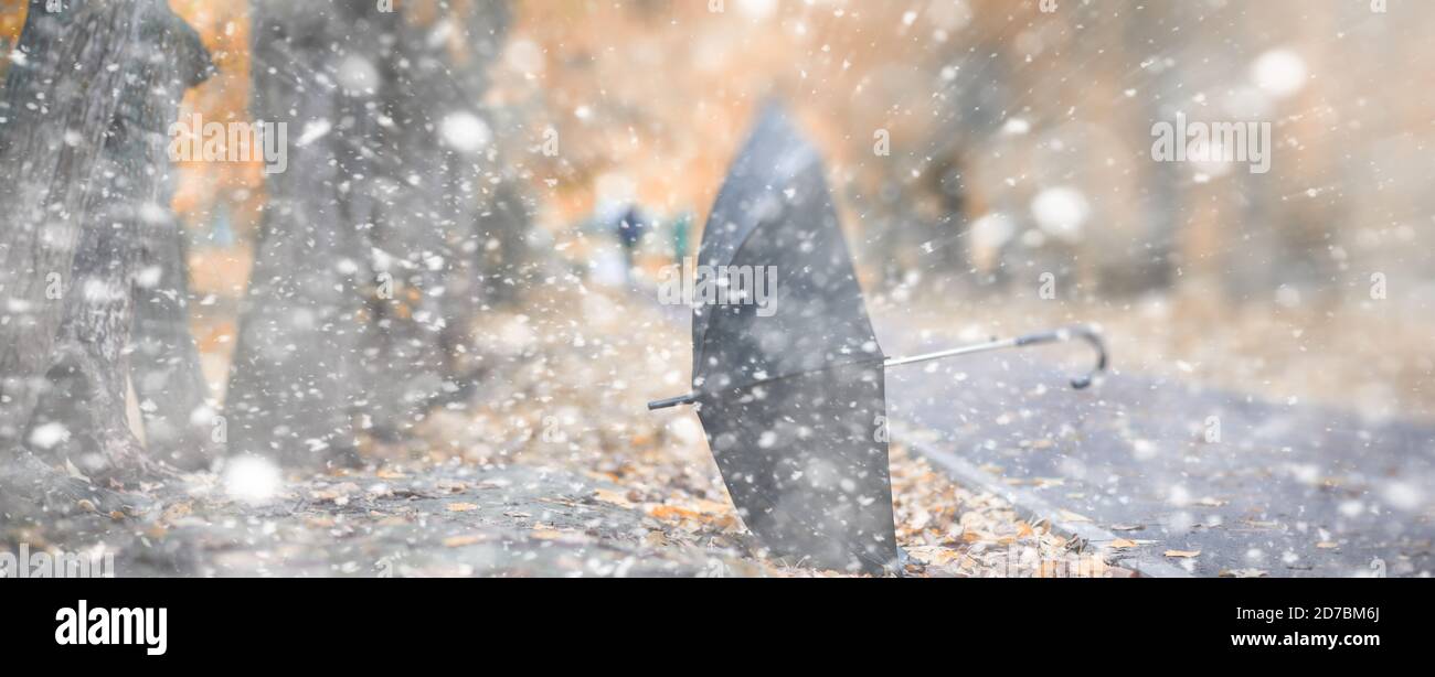 Background autumn park in the first snow Stock Photo - Alamy