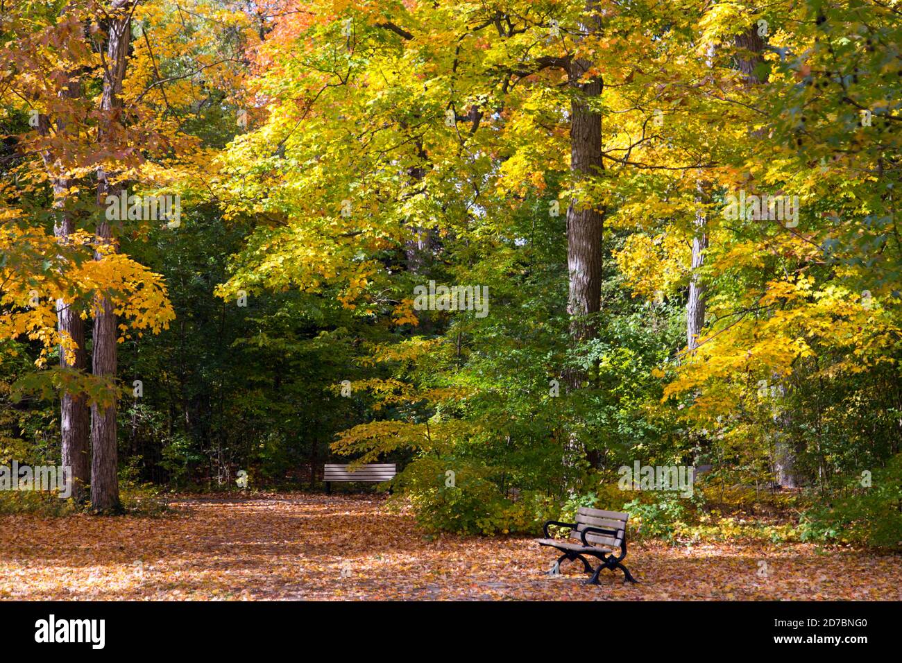 Springbank hi-res stock photography and images - Alamy