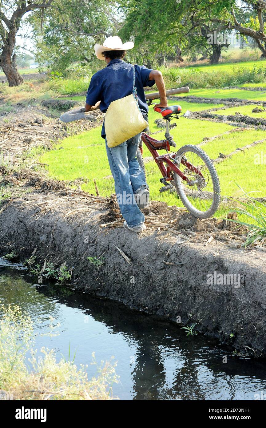 Mexican farmer hi-res stock photography and images - Alamy