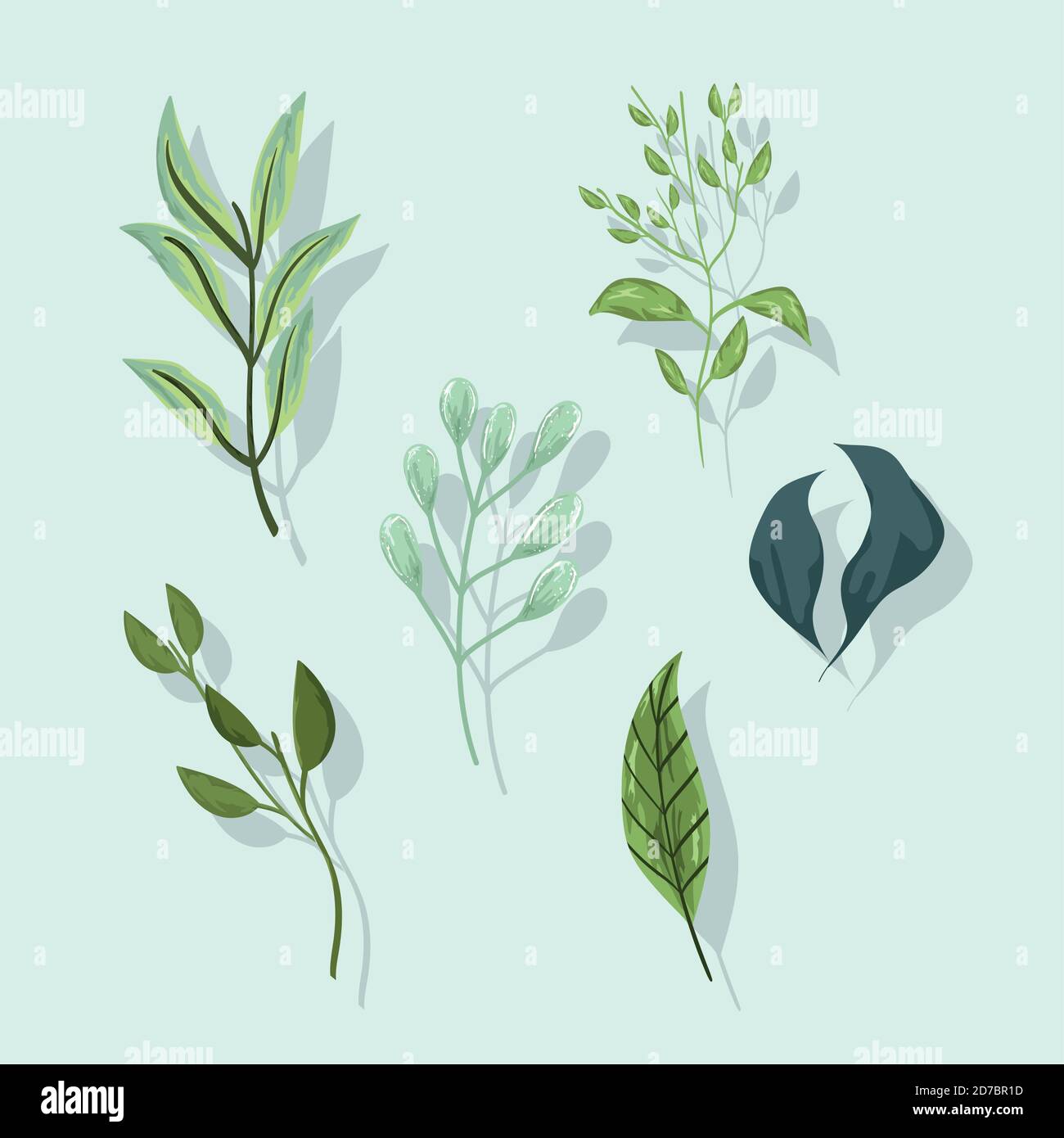 foliage branches leaf nature ecology set icons vector illustration Stock Vector Image & Art - Alamy