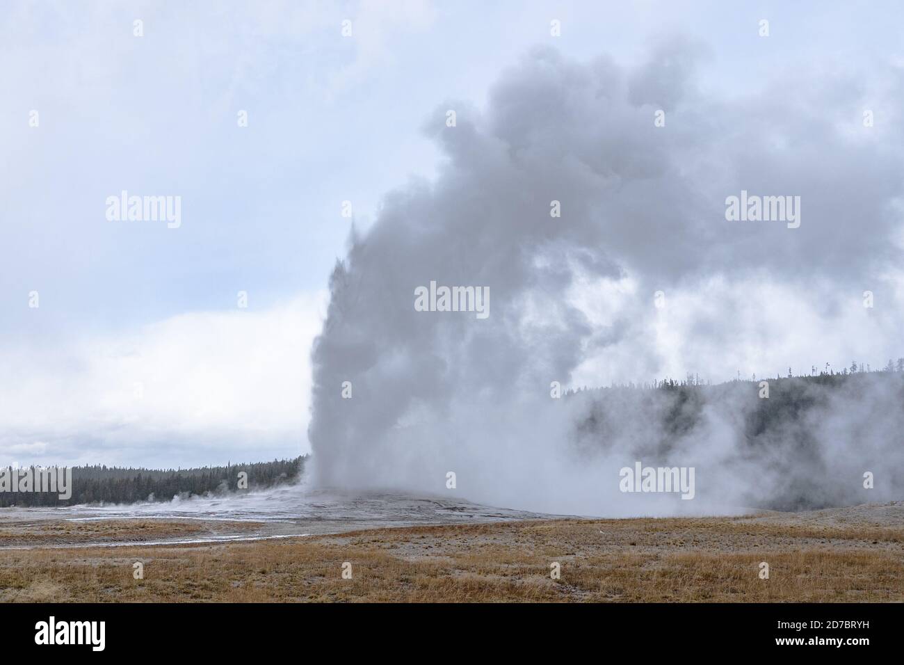 Yellowstone old faithful erupts hi-res stock photography and images - Alamy