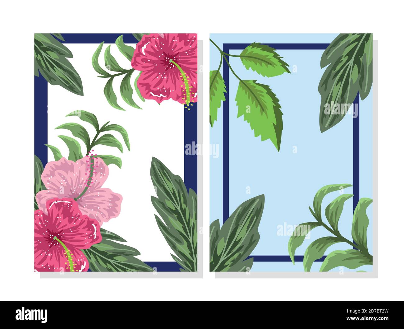 flowers hibiscus leaves nature botanical banners vector illustration ...