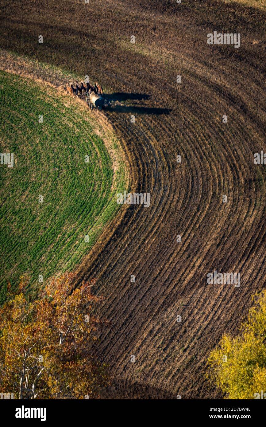Amish, Lancaster County, Pennsylvania.Aerial view of harvest time Stock ...