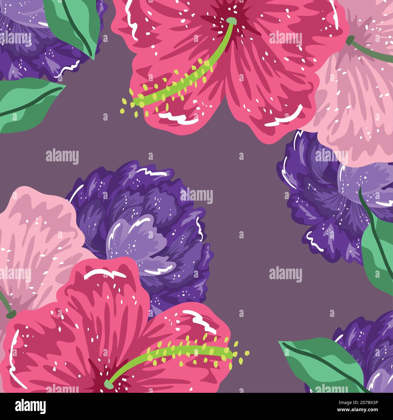 Single hibiscus bloom Stock Vector Images - Alamy