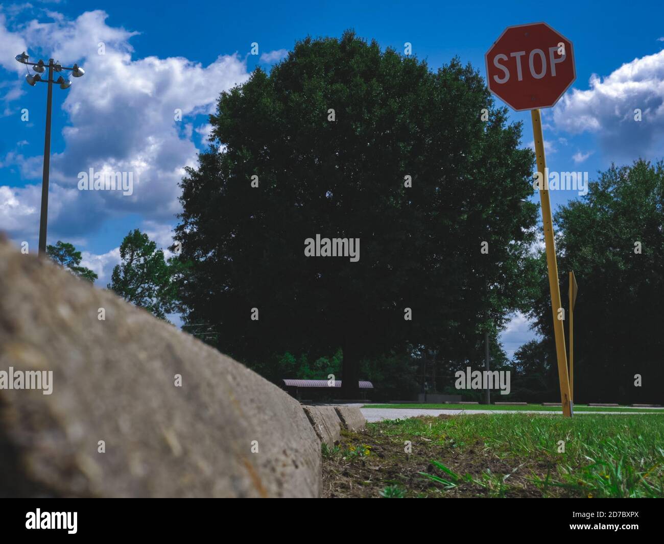 Low angle shot of a "Stop" traffic sign near the road Stock Photo - Alamy