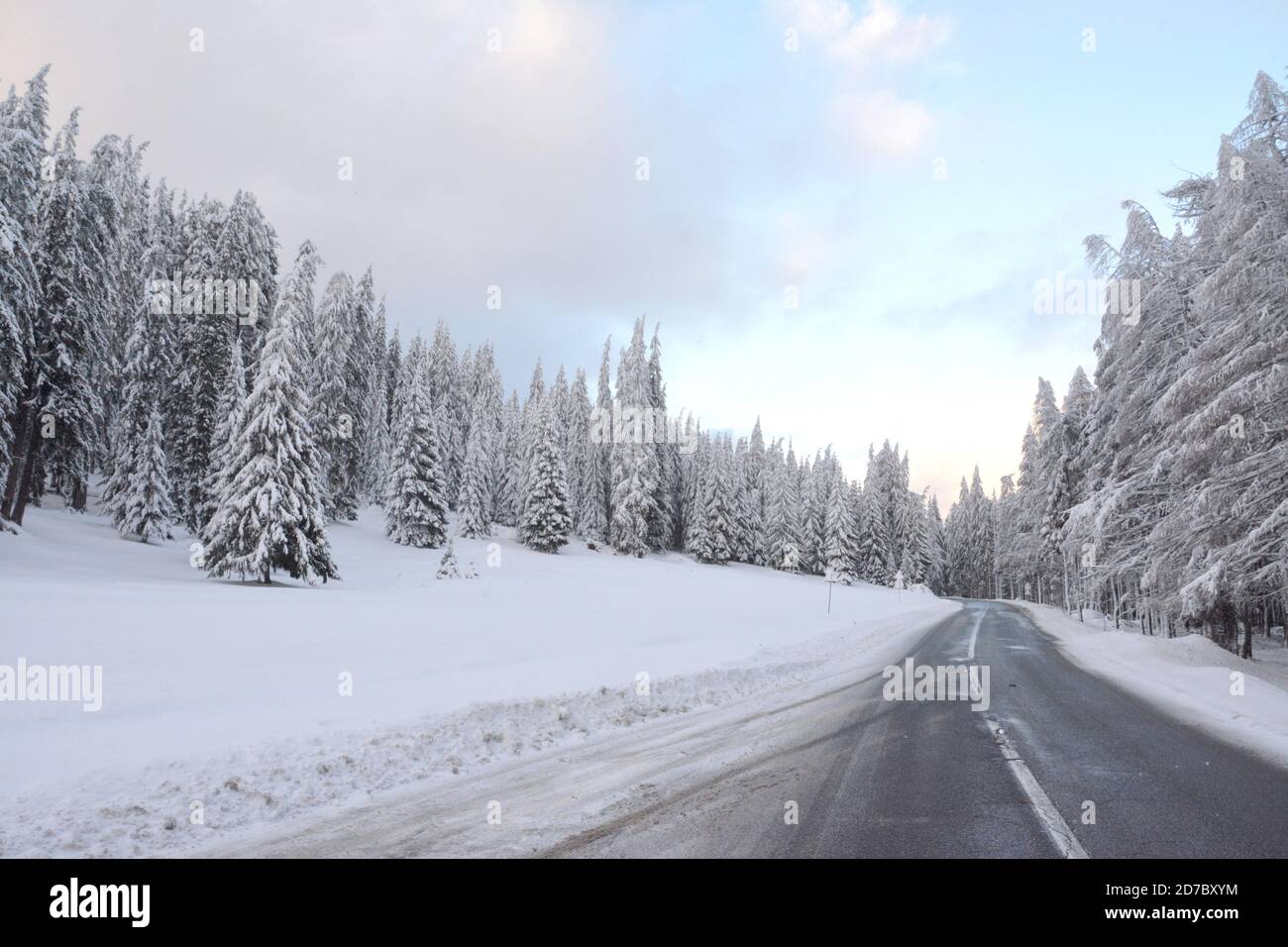 Beautiful shot of a road in a snowy forest landscape Stock Photo - Alamy