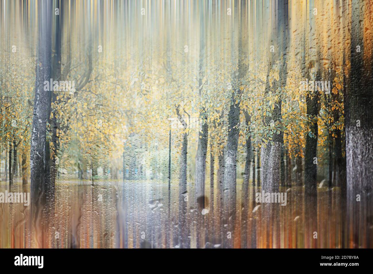 Background autumn rain in the park Stock Photo - Alamy