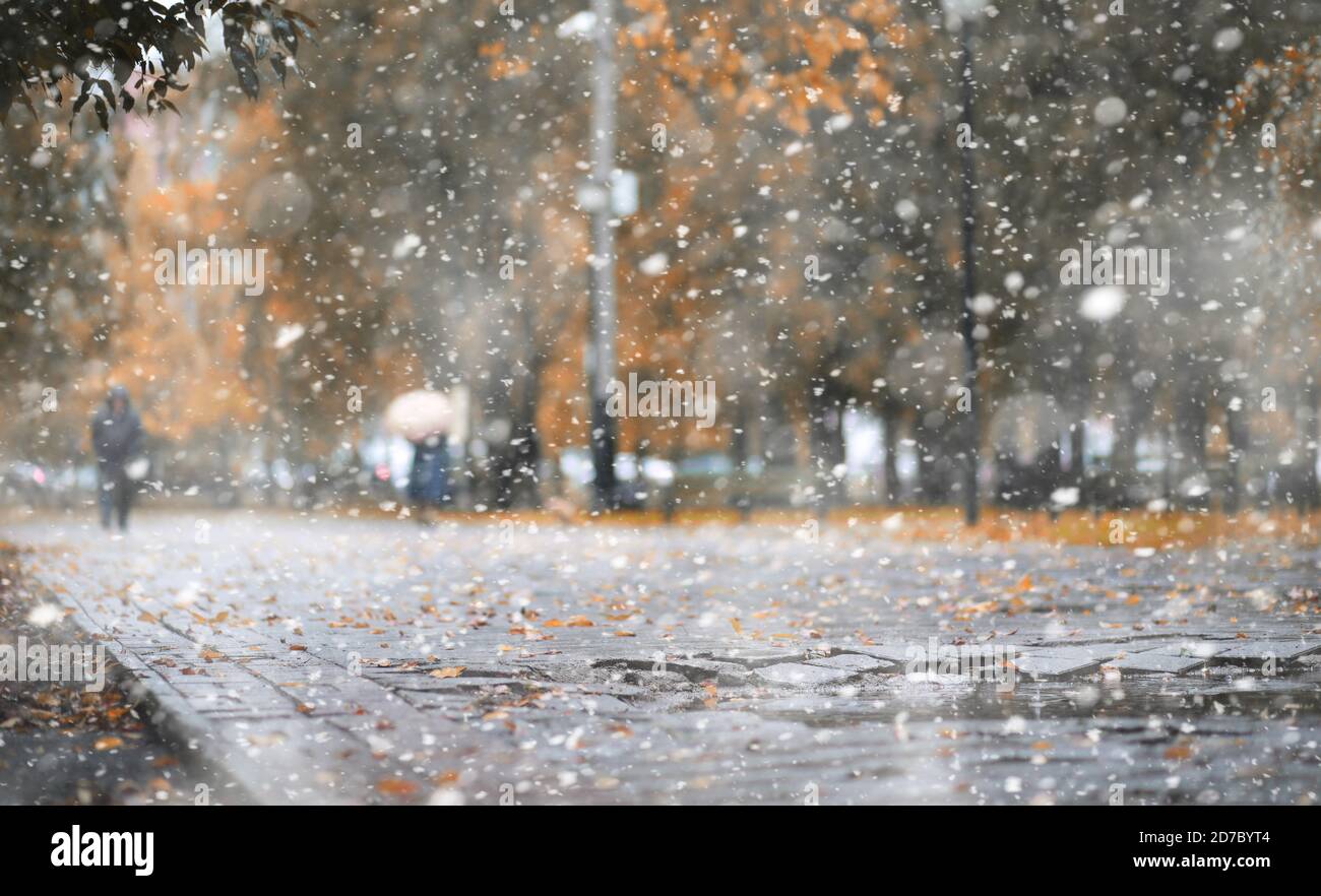 Autumn park in the first snow Stock Photo - Alamy