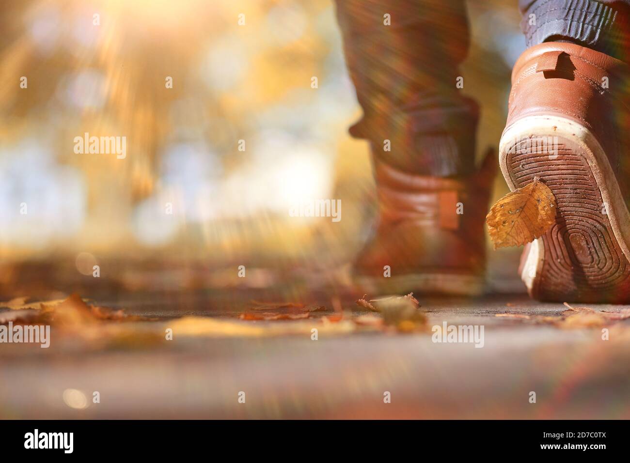 Autumn Park man walking along a path foliage Stock Photo - Alamy