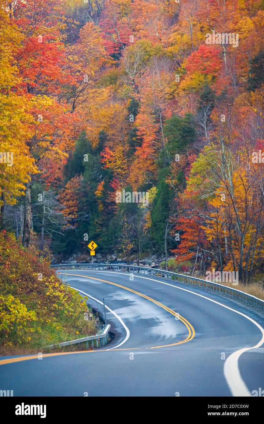 Winding road through the woods in the fall hi-res stock photography and ...