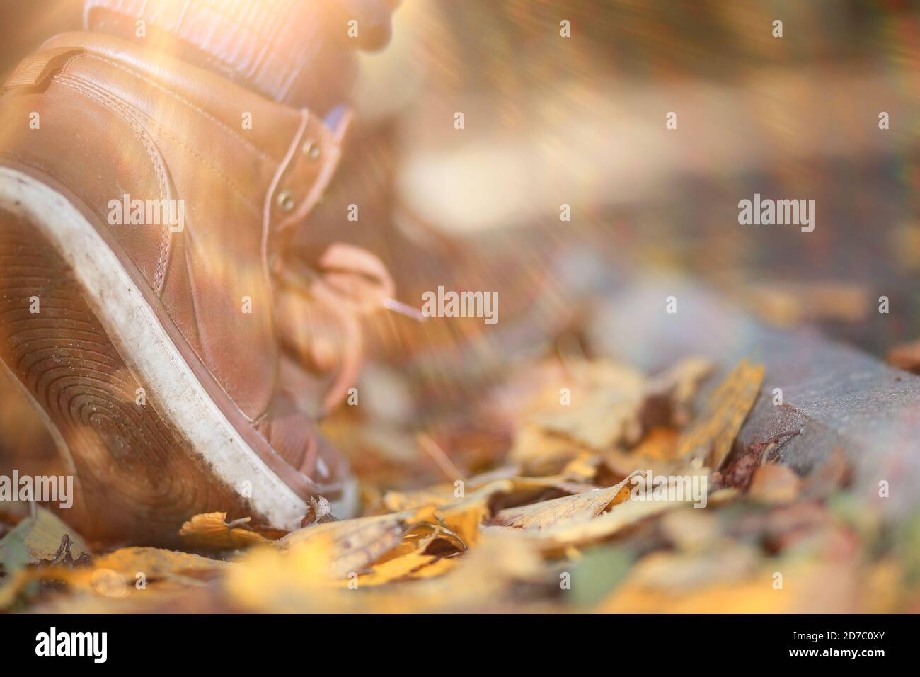 Autumn Park man walking along a path foliage Stock Photo - Alamy