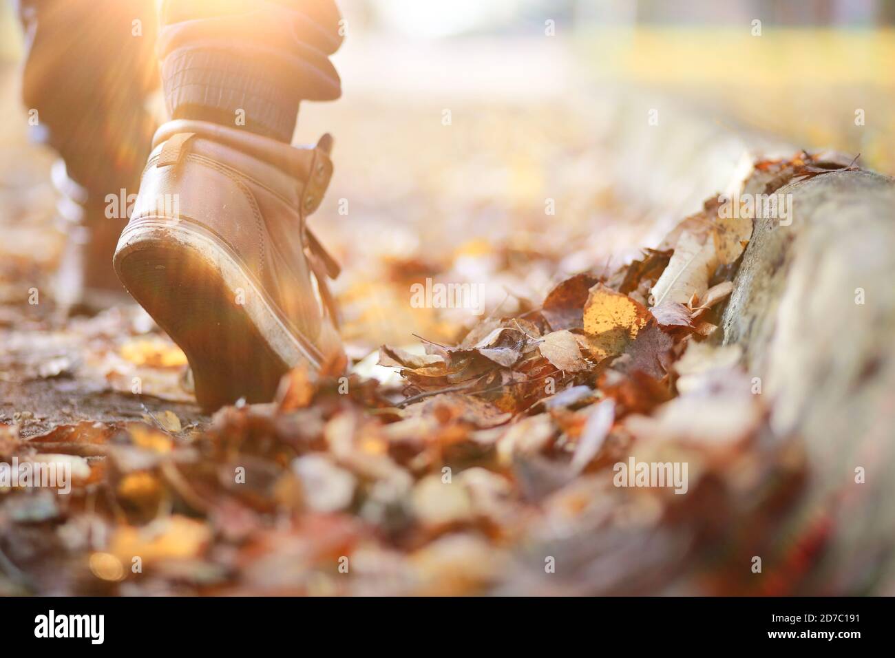 Autumn Park man walking along a path foliage Stock Photo - Alamy