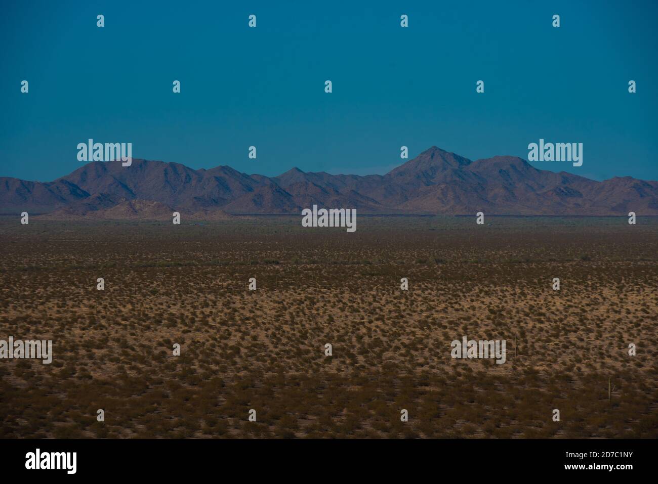 Gran desierto de altar biosphere reserve hi-res stock photography and ...