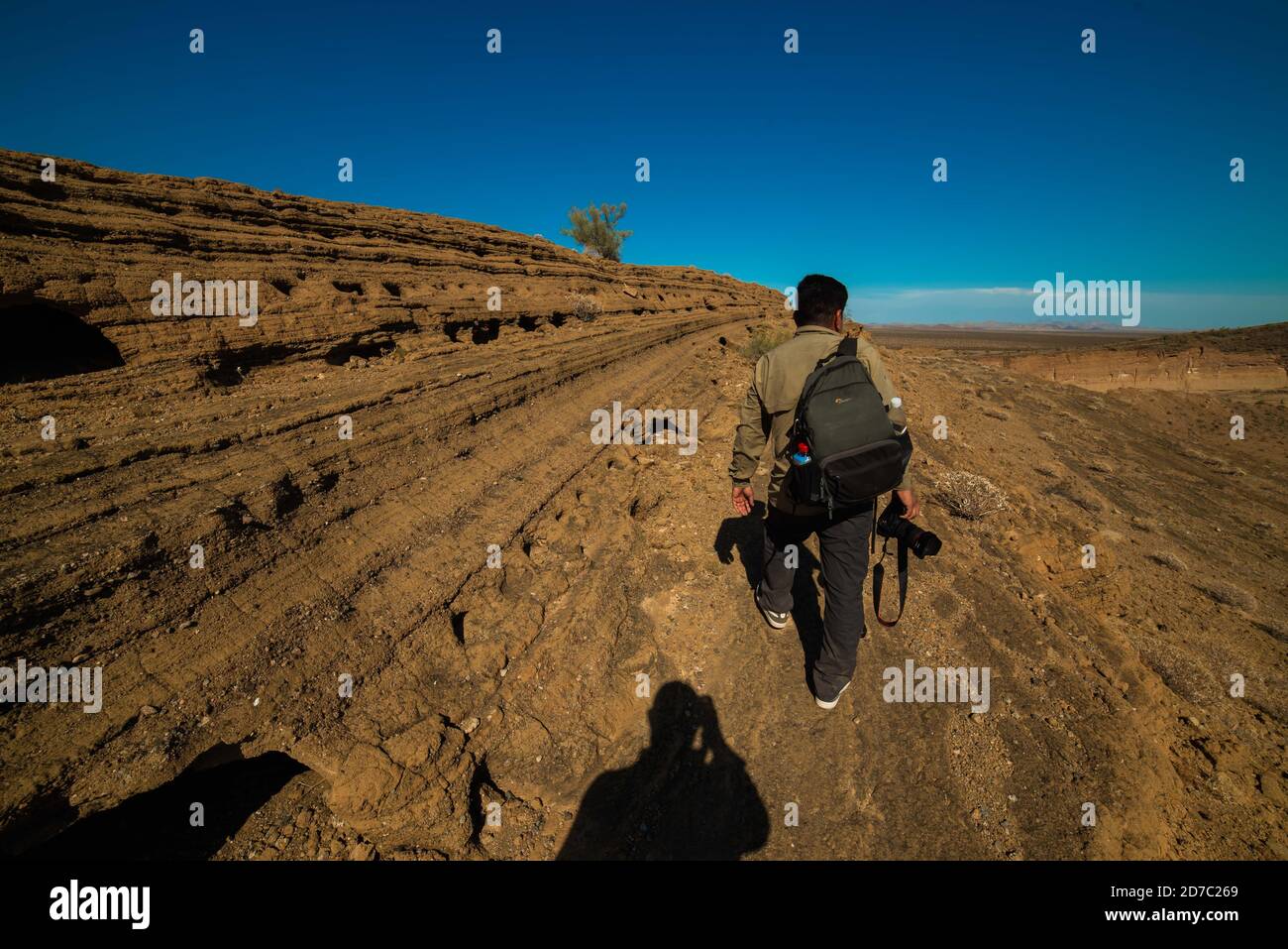 Gran desierto de altar biosphere reserve hi-res stock photography and ...