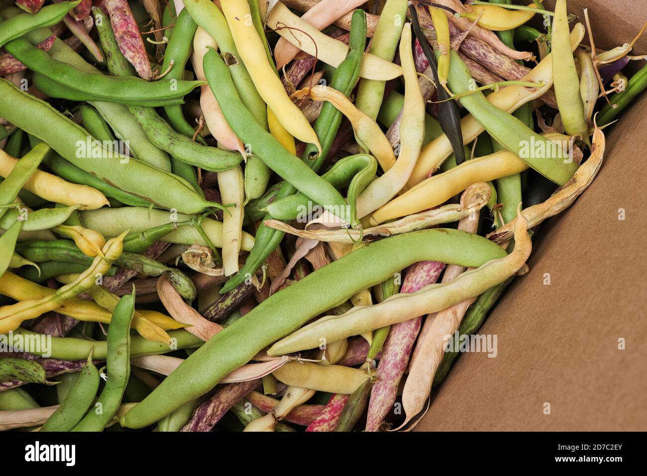 A pile of mixed beans in a cardboard box Stock Photo - Alamy