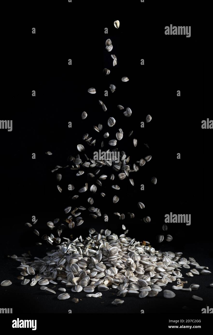 Sunflower seeds falling on pile hi-res stock photography and images - Alamy