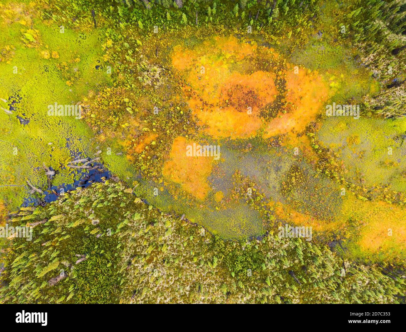 Aerial view of colorful pond in the marshlands Stock Photo - Alamy