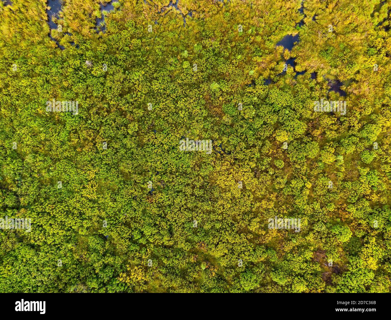 Aerial view of colorful pond in the marshlands Stock Photo - Alamy