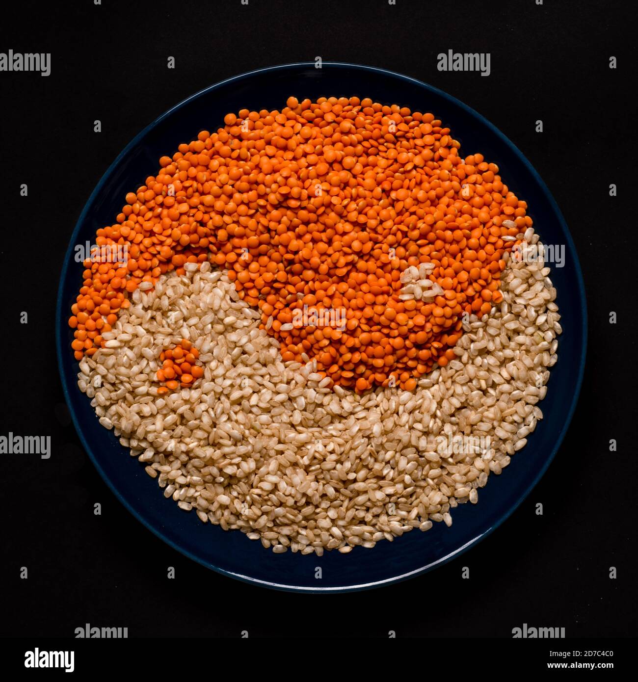 Sesame Seed Size Comparison