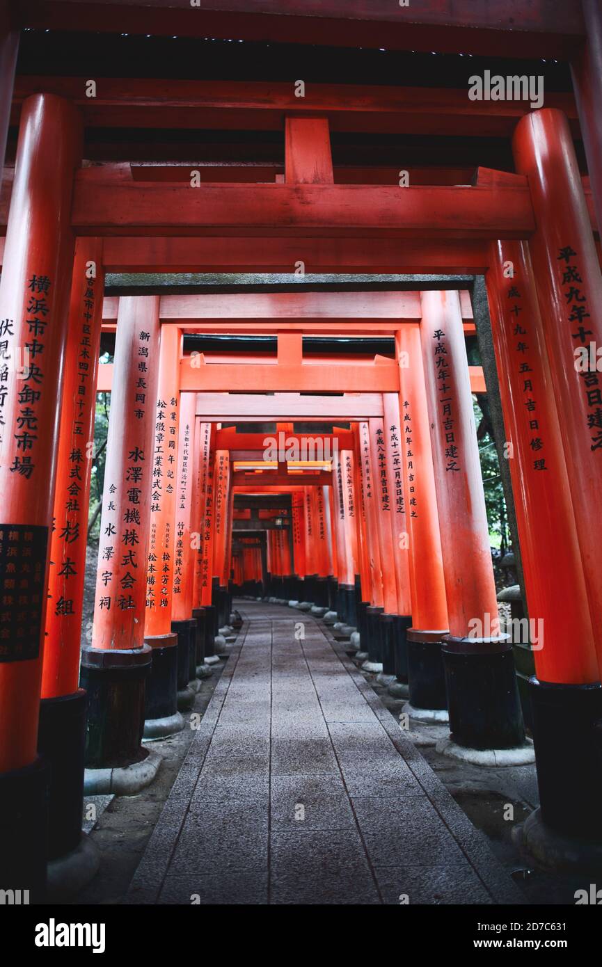 Kyoto/Japan - 2016 Nov 22 : Red torii pillars at Fushimi inari shrine ...