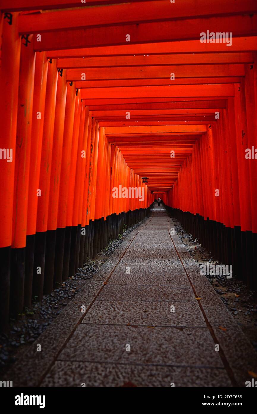 Japanese orange red temple pillars hi-res stock photography and images ...