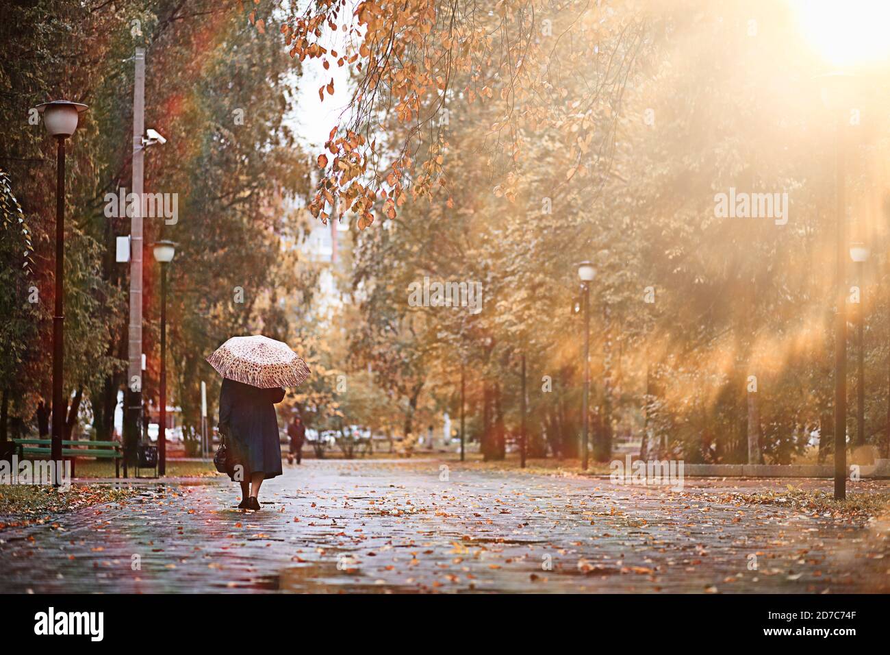 Autumn rain in the park Stock Photo - Alamy