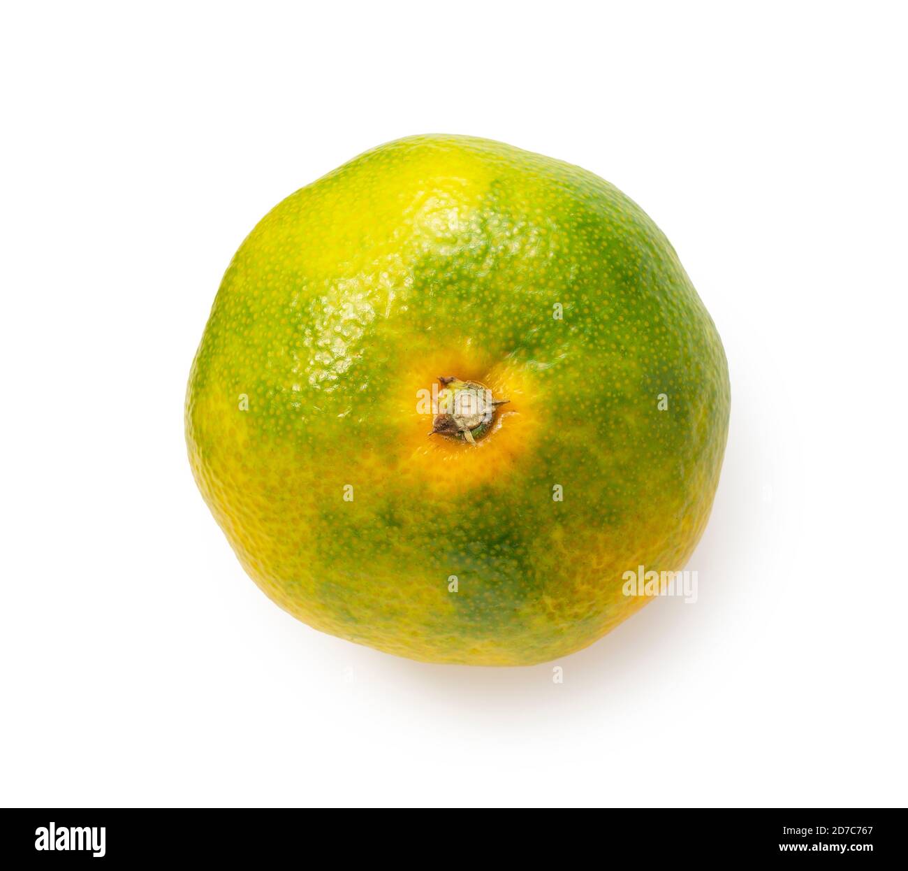 Japanese Wase Mikan on a white background Stock Photo - Alamy