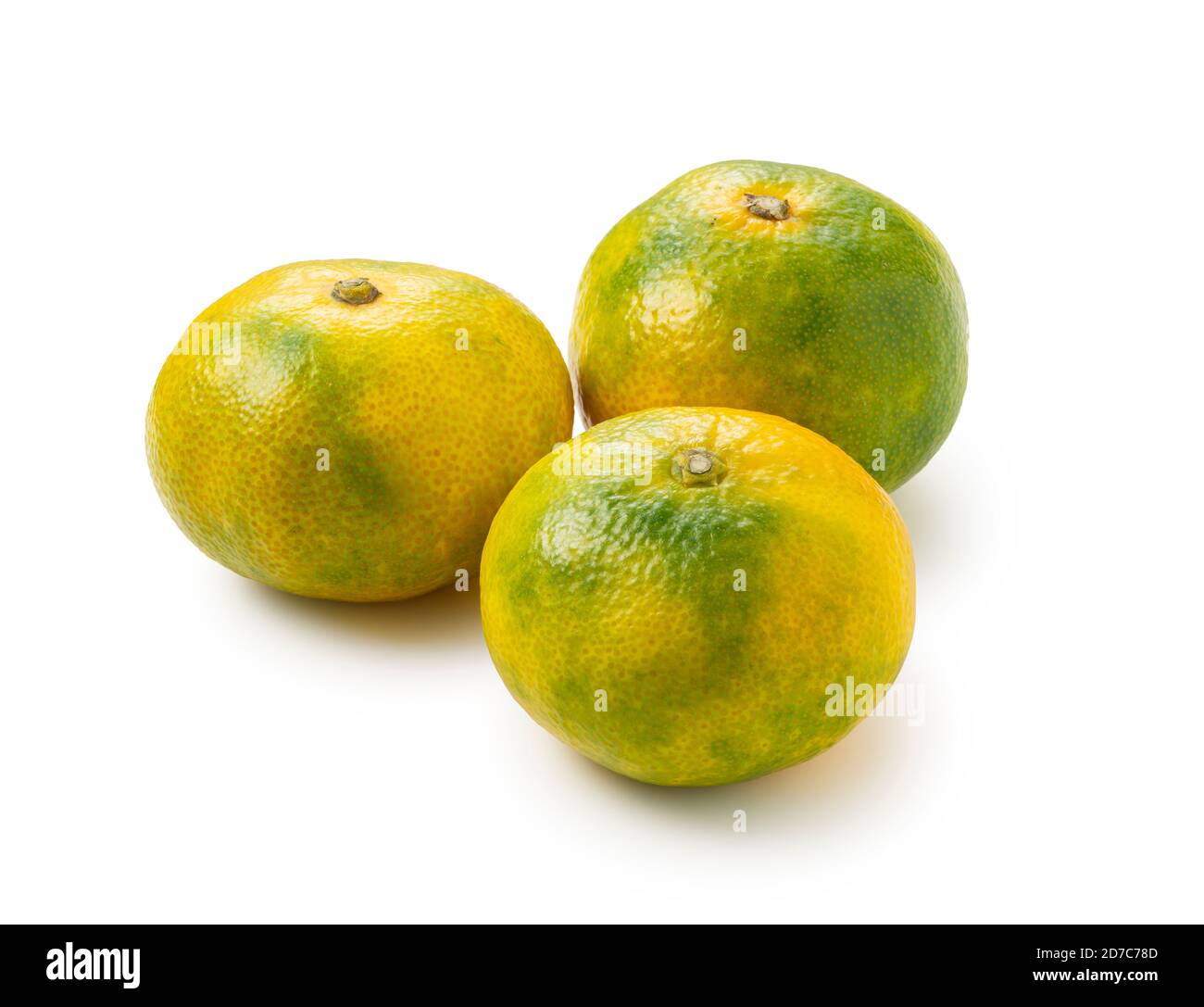 White wase hi-res stock photography and images - Alamy