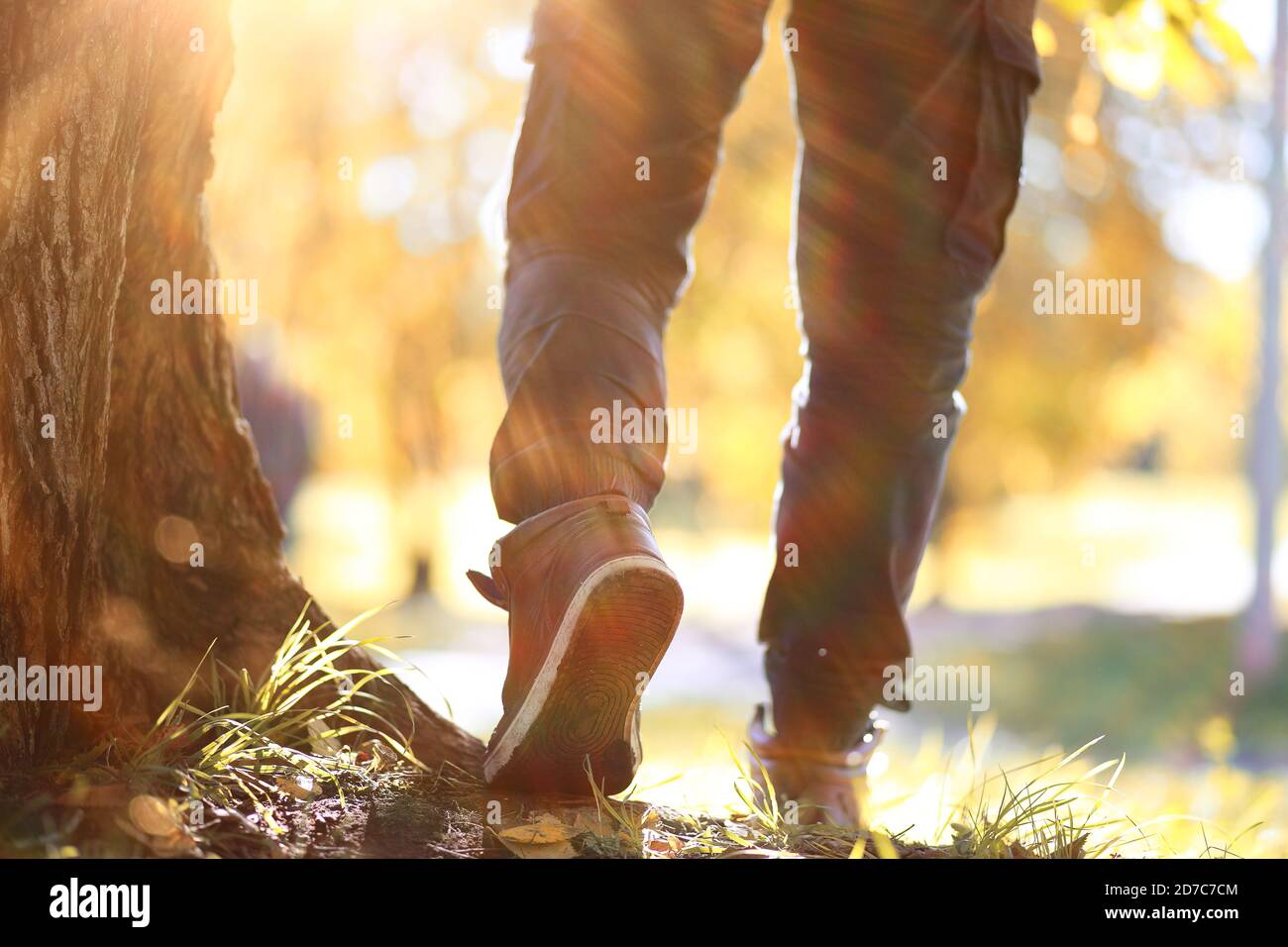 Autumn Park man walking along a path foliage Stock Photo - Alamy