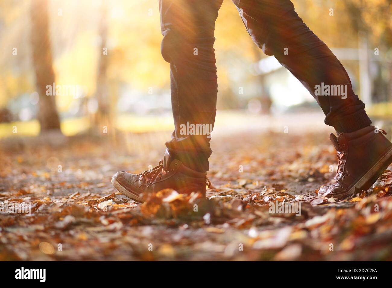Autumn Park man walking along a path foliage Stock Photo - Alamy