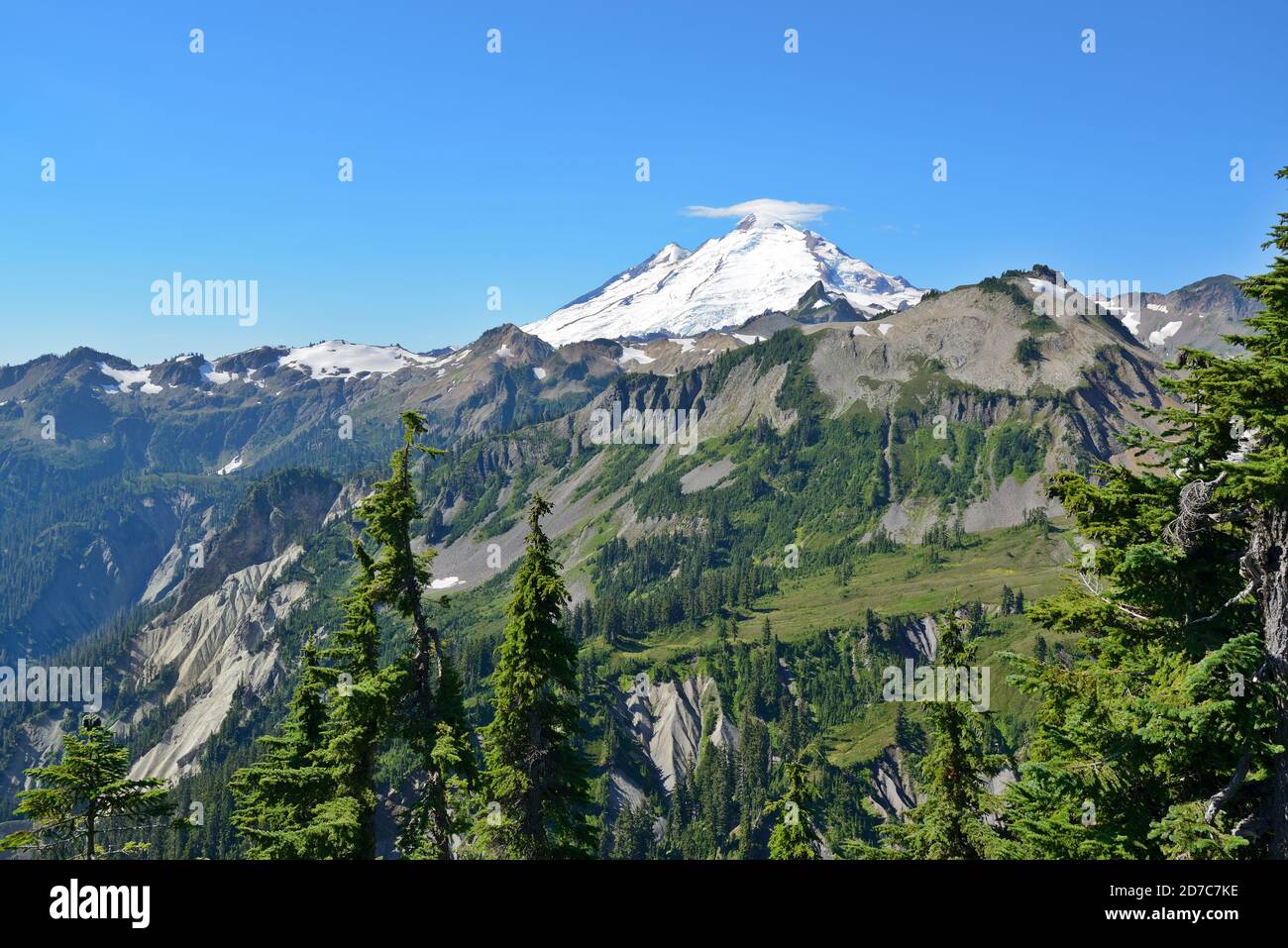 Mount Baker View from Artist Point in Summer Stock Photo - Alamy