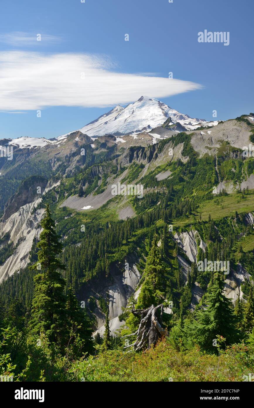 Mount Baker View from Artist Point in Summer Stock Photo - Alamy
