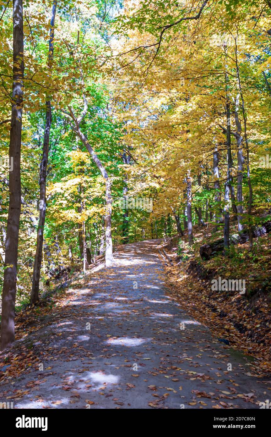 Frick park pittsburgh hi-res stock photography and images - Alamy