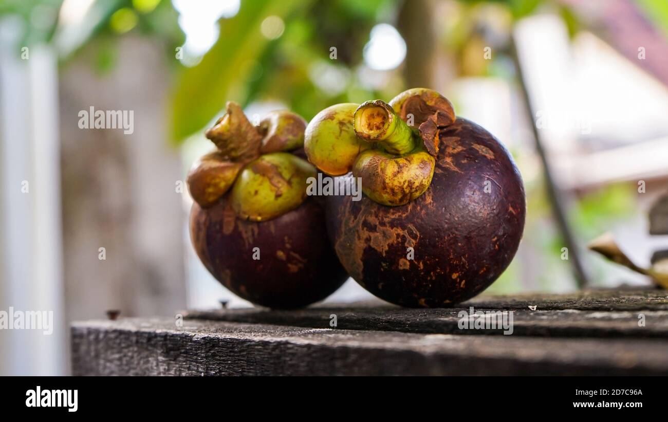 Close up of ripe mangosteen fruit Stock Photo - Alamy