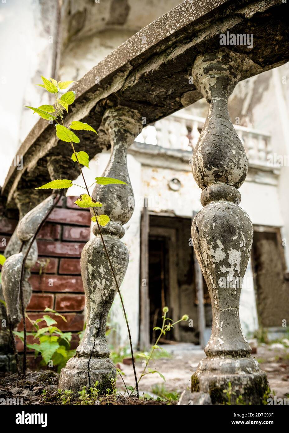 Abandoned building overgrown hi-res stock photography and images - Alamy