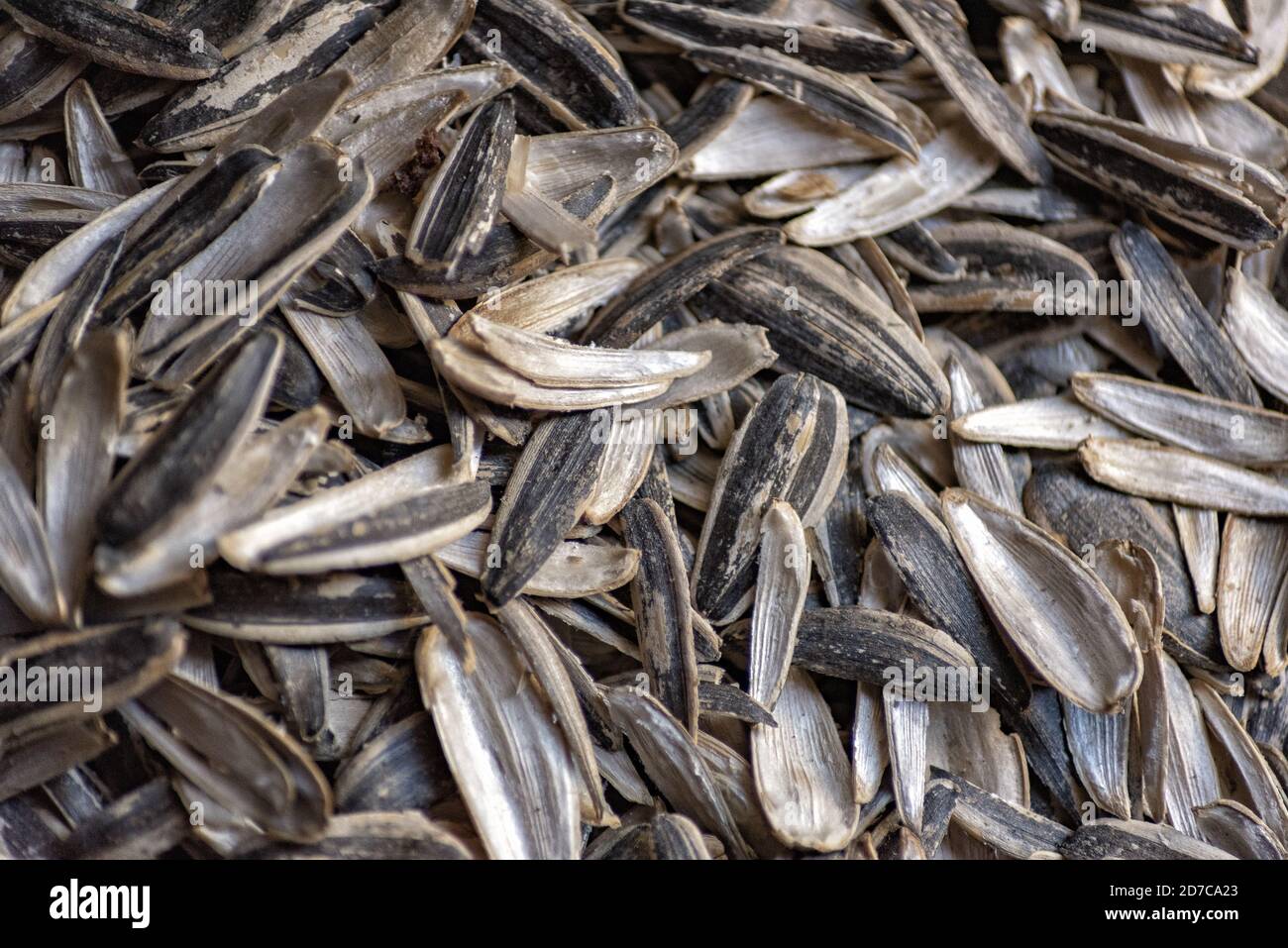 Closeup shot of sunflower seed shells Stock Photo - Alamy