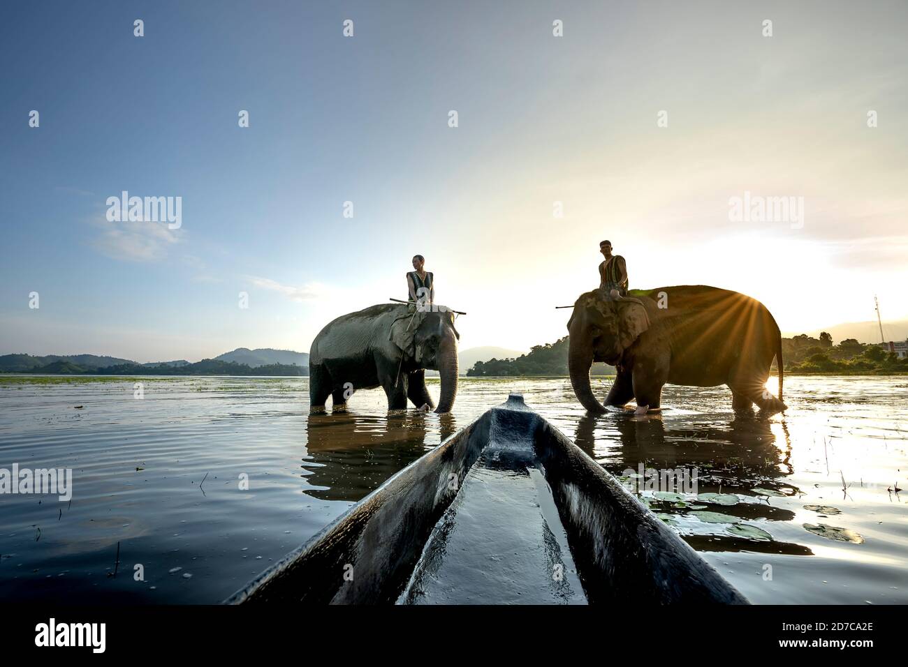 Vietnam highlands dak hi-res stock photography and images - Alamy