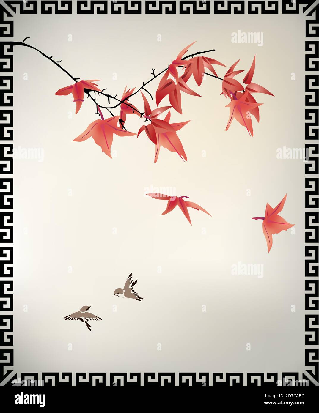 Chinese maple tree Stock Vector Images - Alamy