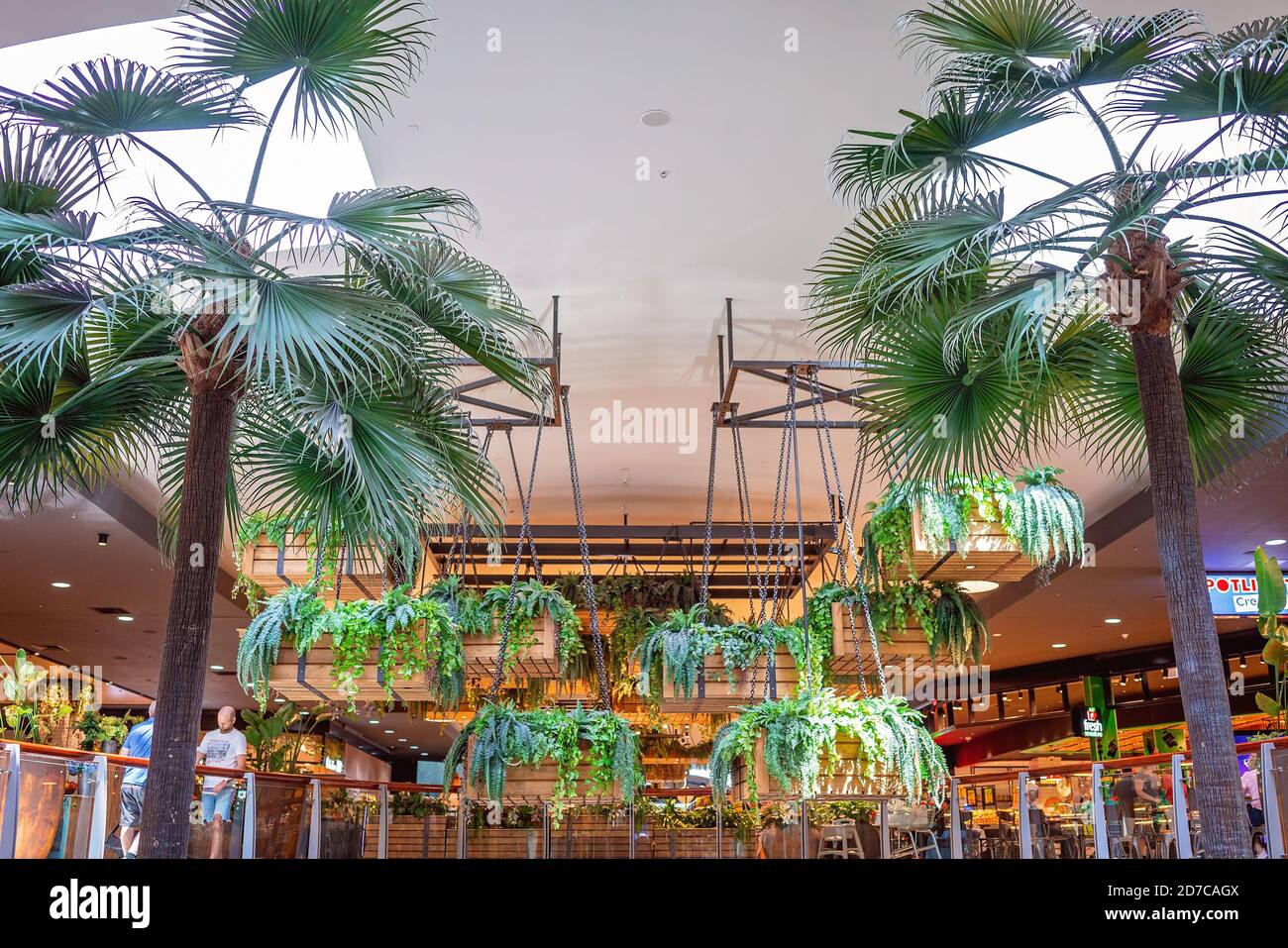 Brisbane, Queensland, Australia - 28th September 2019: Tropical ...