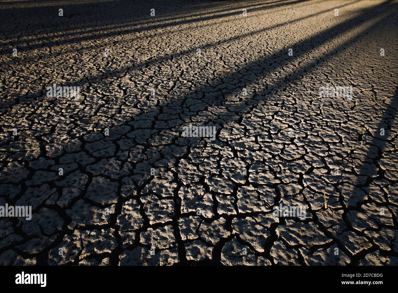 Dry river bed in australia Stock Photo - Alamy