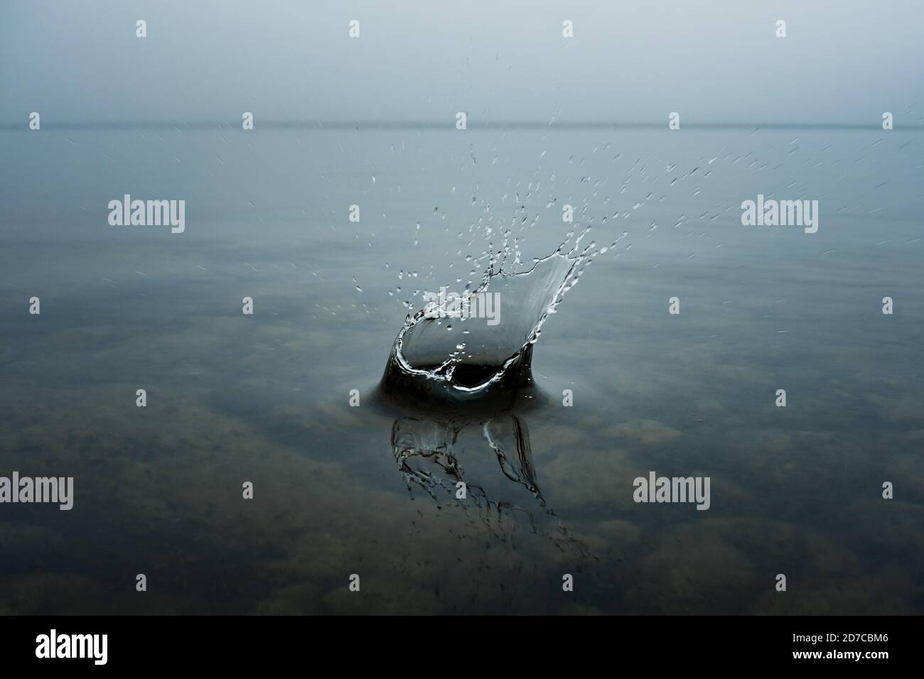 Splash drops in summer hi-res stock photography and images - Alamy