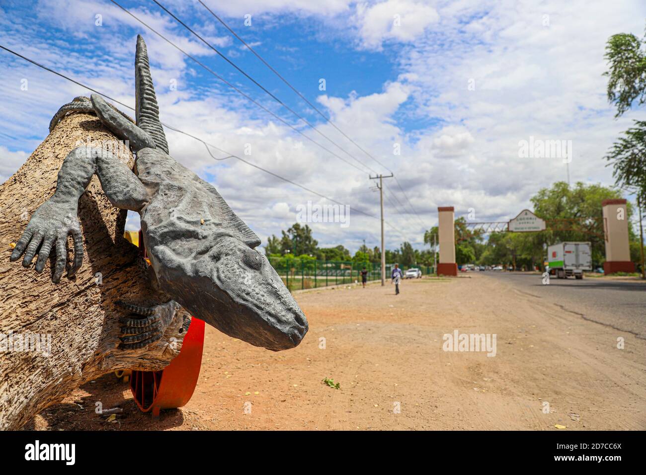 Sculptures of giant iguanas at the entrance to the town of Cócorit, one ...