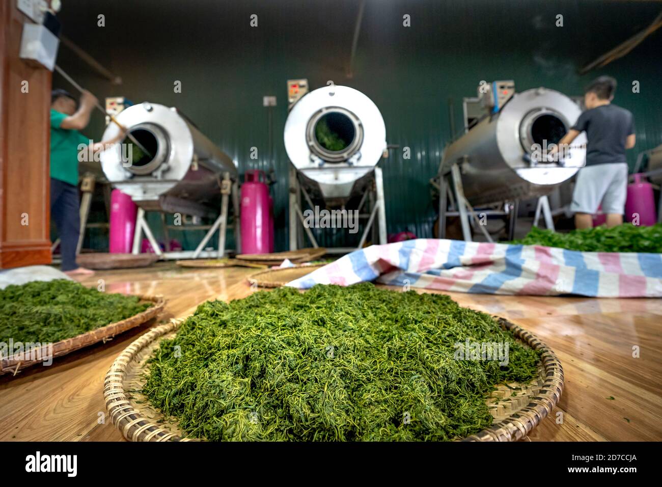 Tea Factory Tan Cuong, Thai Nguyen, Vietnam - September 23, 2020 ...