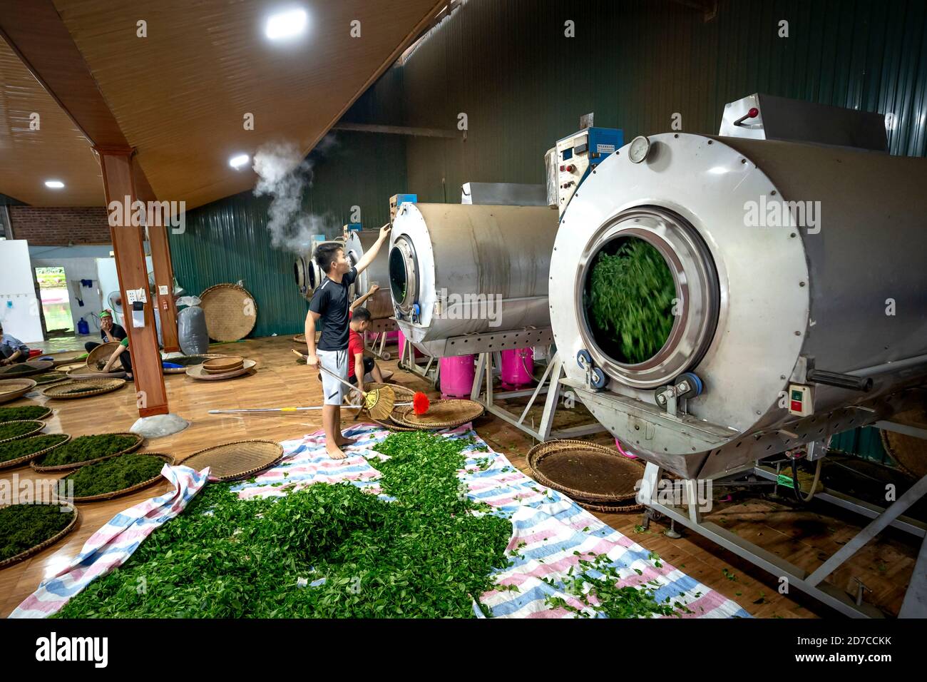 Tea Factory Tan Cuong, Thai Nguyen, Vietnam - September 23, 2020 ...